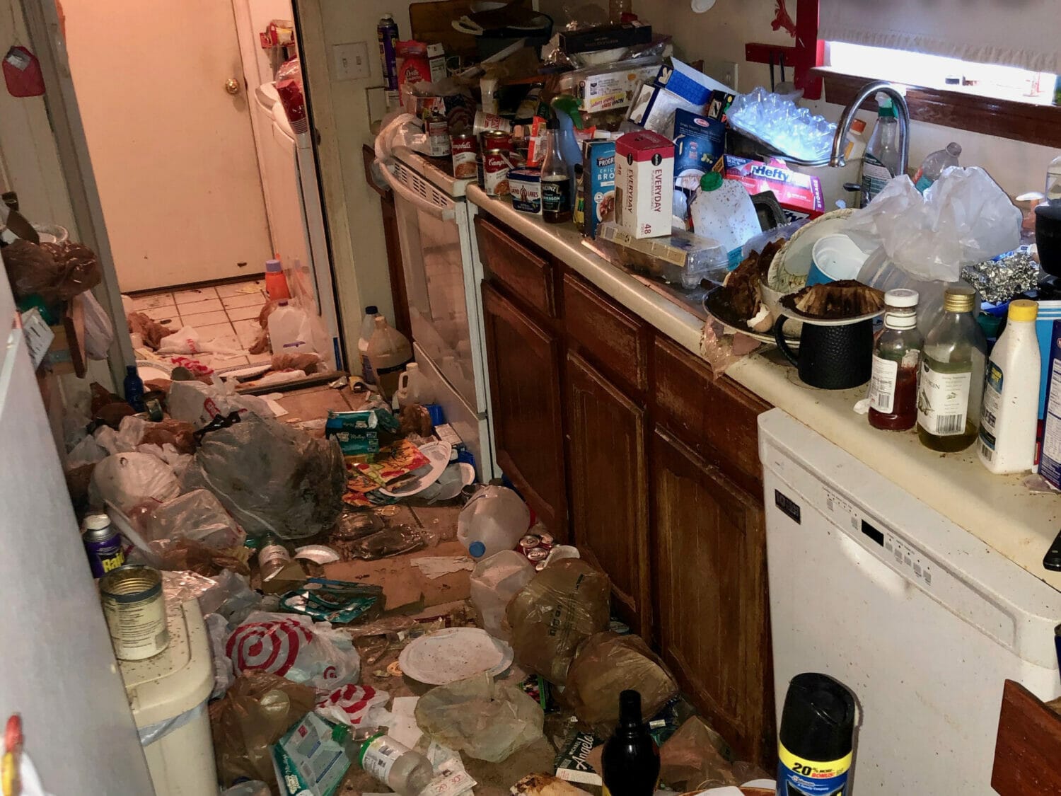 The 5 Levels of Hoarding: How Does Your House Rank? - Bio-One